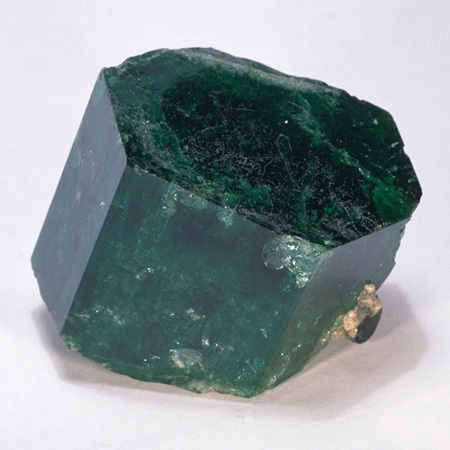 Devonshire Collections